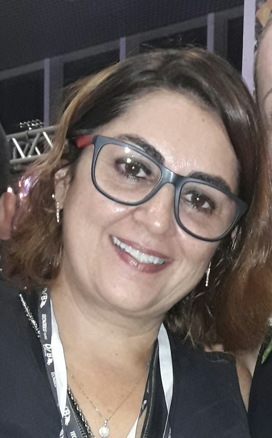 Confira o que aconteceu no primeiro dia do DFB Festival 2017 - Blog ...